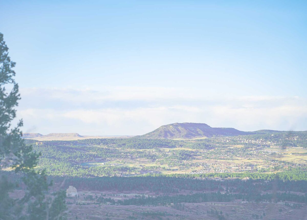 Buc-ee's + Palmer Lake – Building a Better Future Together